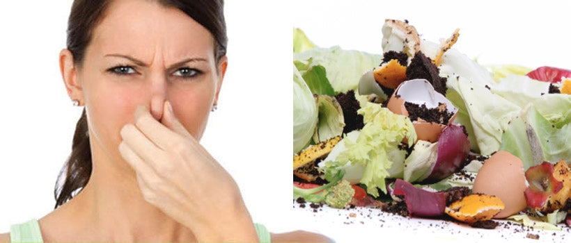 How to Eliminate Rotten Food Odors – Biocide Systems